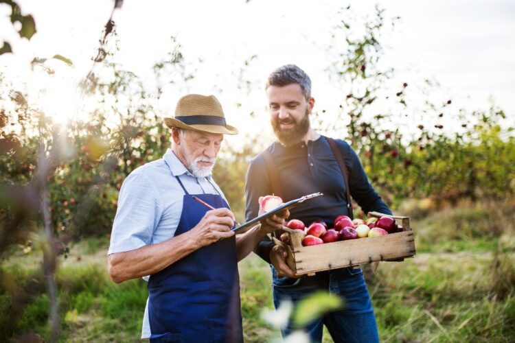 10 Guidelines for Starting a Small Farm Business – Mother Earth News
